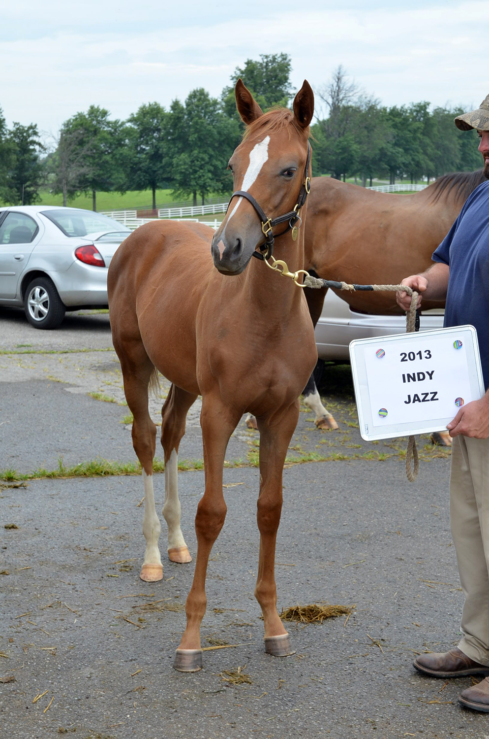 Sassy Ashley RRP Update April Adventures - Neigh Savers Foundation