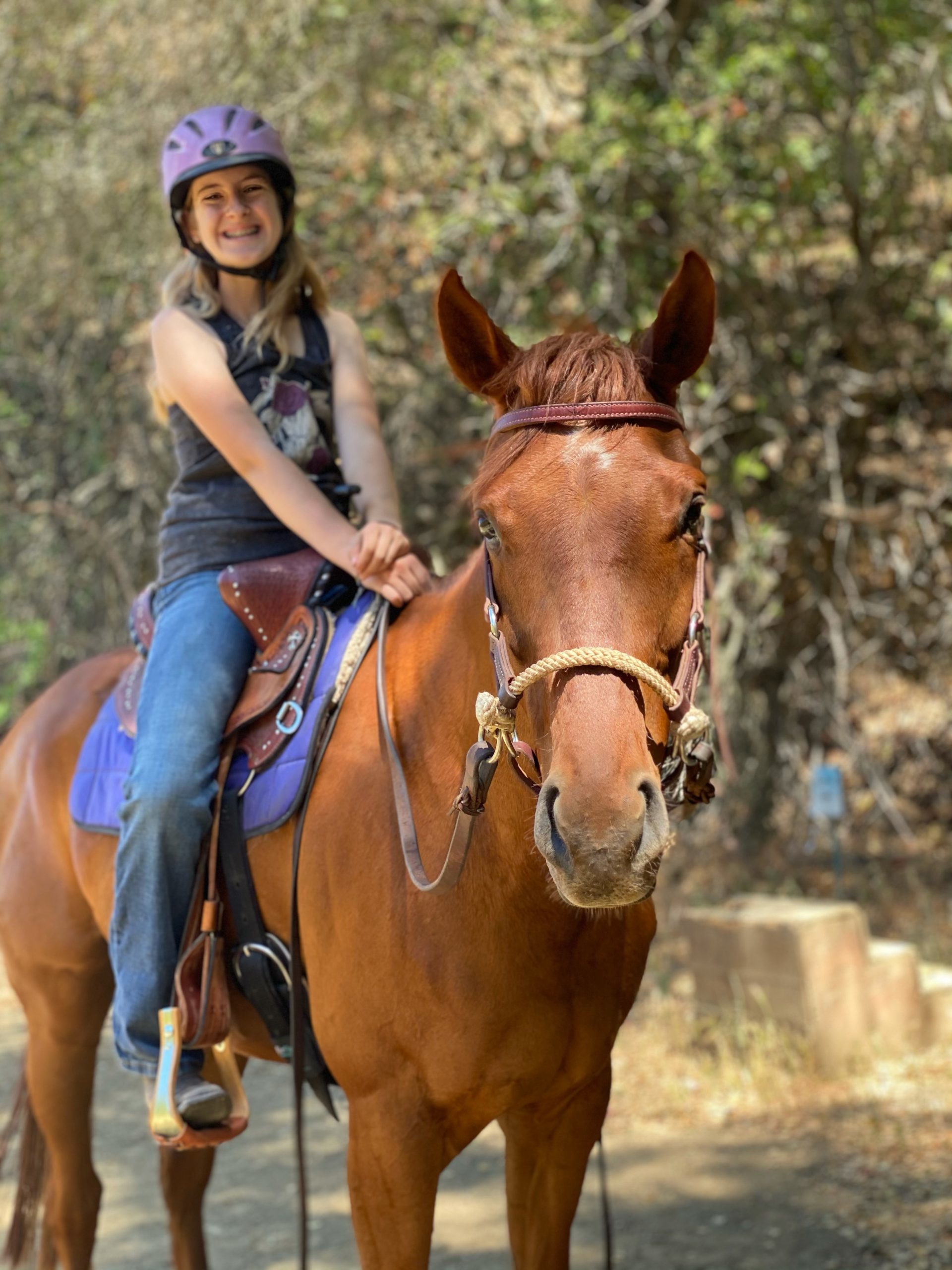 Summer 2021 Update - Neigh Savers Foundation